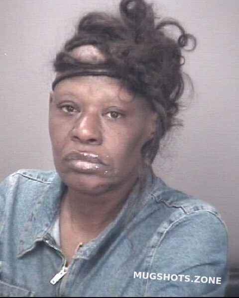 DOE JANE 02/01/2024 - Robeson County Mugshots Zone
