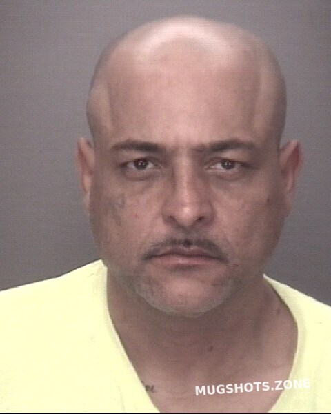 LOCKLEAR PATRICK TELLY 02/02/2024 - Robeson County Mugshots Zone