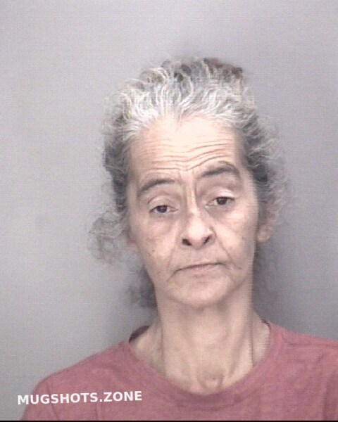 OXENDINE ROBIN HUNT 03/04/2024 - Robeson County Mugshots Zone