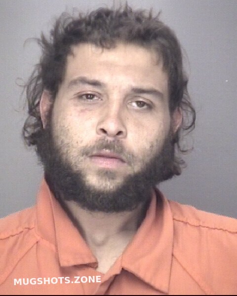 LOCKLEAR AUSTIN DWAYNE 04/09/2024 - Robeson County Mugshots Zone