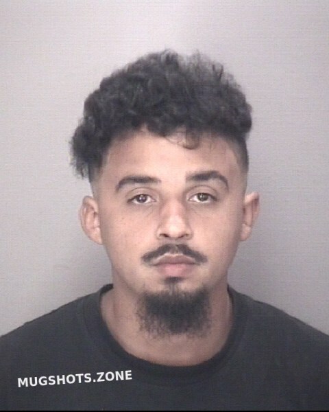 LOCKLEAR NEHEMIAH RAY 11/12/2024 - Robeson County Mugshots Zone