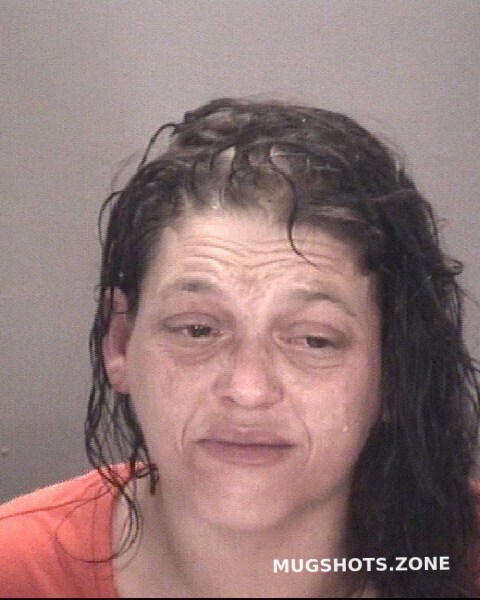 MORGAN MEGAN 02/04/2025 - Robeson County Mugshots Zone