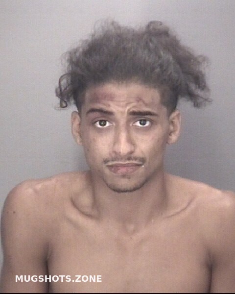 LOCKLEAR RAY CHARLES 02/06/2025 - Robeson County Mugshots Zone