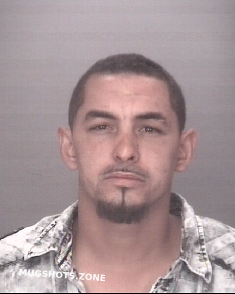 LOCKLEAR BRANDON MICHEAL 02/14/2025 - Robeson County Mugshots Zone