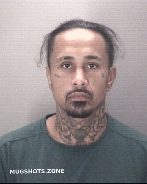 LOCKLEAR RYAN B 02/20/2025 - Robeson County Mugshots Zone