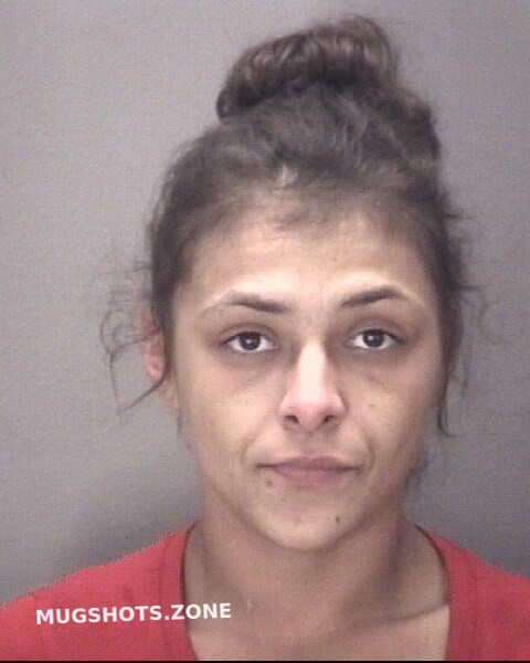 LOCKLEAR AMBER RENEE 02/25/2025 - Robeson County Mugshots Zone