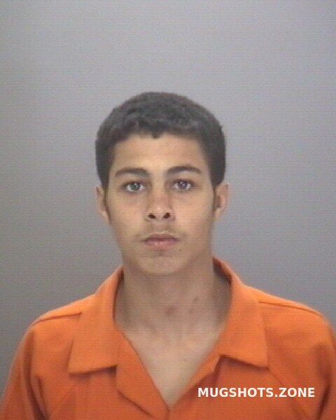 CHAVIS DOMINIQUE ANTHONY 03/28/2025 - Robeson County Mugshots Zone