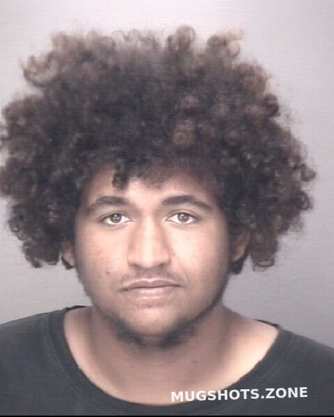 LOCKLEAR ALEX DEWAYNE 04/17/2025 - Robeson County Mugshots Zone