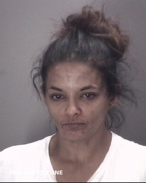 LOCKLEAR YOLANDA CHANNELL 05/23/2025 - Robeson County Mugshots Zone