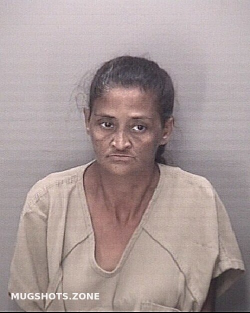 LOCKLEAR CINDY 09/26/2025 - Robeson County Mugshots Zone