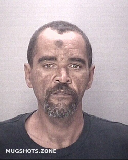 LOCKLEAR BRIAN 10/02/2025 - Robeson County Mugshots Zone