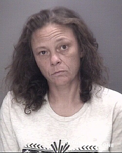 LOCKLEAR TROY ANN 10/24/2025 - Robeson County Mugshots Zone