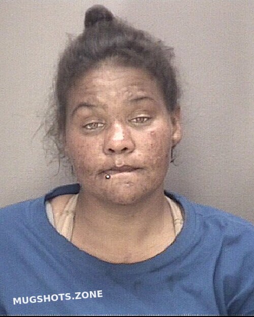 MCMILLIAN MARLA RAY 11/17/2025 - Robeson County Mugshots Zone