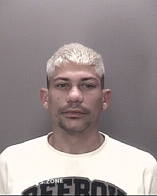 PINERO NICHOLAS 12/05/2025 - Robeson County Mugshots Zone