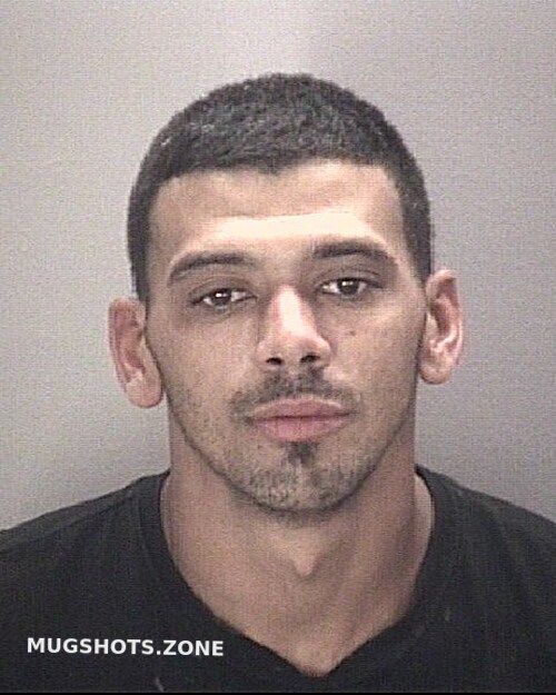 LOCKLEAR PATRICK LAWERENCE 01/02/2026 - Robeson County Mugshots Zone