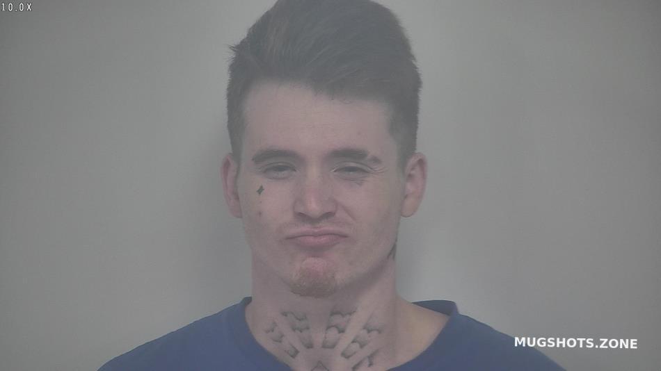 WEBB COBE ISAIAH TREY 08/12/2024 - Rockbridge Regional Jail Mugshots Zone