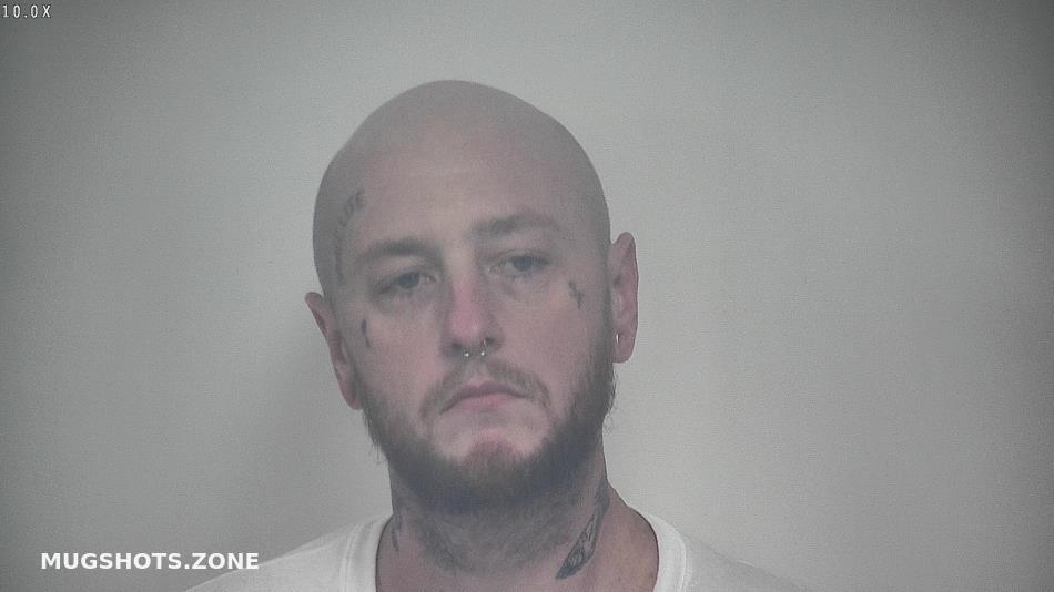 ANDERSON BRANDON SCOTT 11/13/2025 - Rockbridge Regional Jail Mugshots Zone