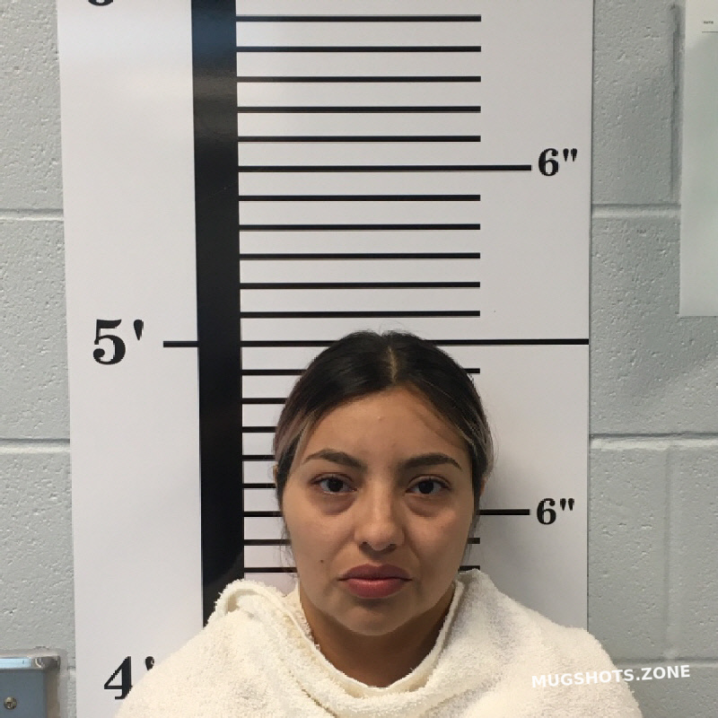 MONDRAGON VICKY 08/13/2022 - Rockwall County Mugshots Zone