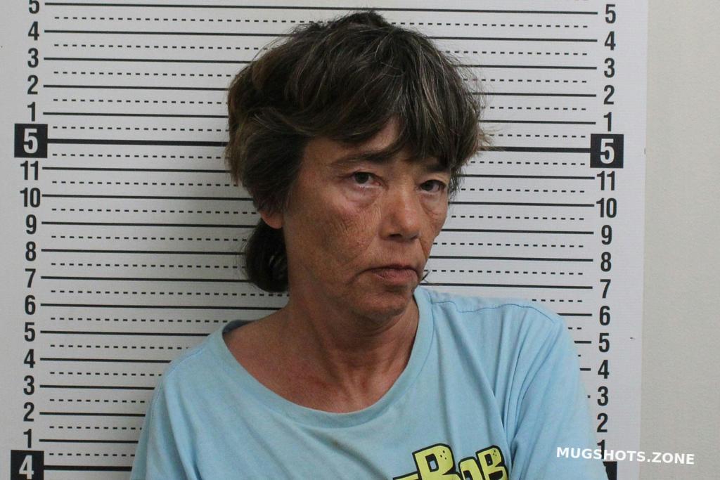 HARRIS LISA J 09/20/2024 - Ross County Mugshots Zone