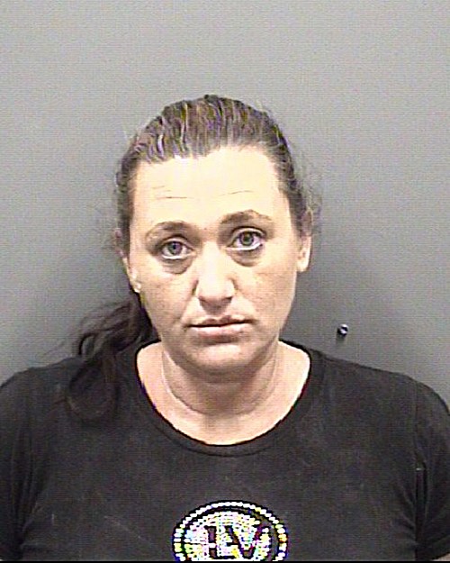 RENKEN KRISTA RENEA 12/09/2020 - Rowan County Mugshots Zone