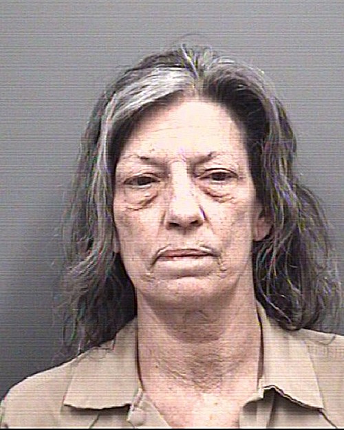 DEMPWOLF DEBRA ANN 04/01/2021 - Rowan County Mugshots Zone