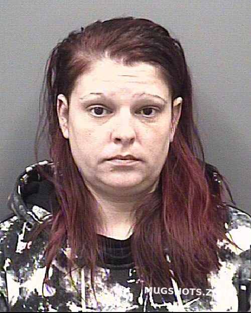 GAINEY ERICA NICOLE 01/23/2022 - Rowan County Mugshots Zone
