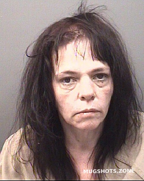 HONEYCUTT LISA KAY 05/14/2022 - Rowan County Mugshots Zone