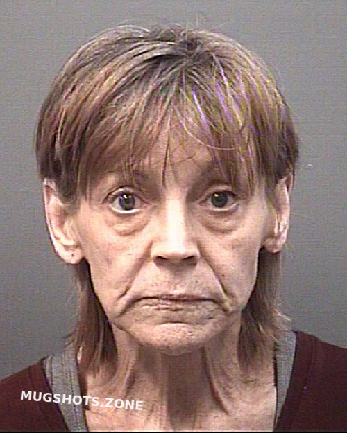 Cain Tammy Darlene 05 31 2022 Rowan County Mugshots Zone