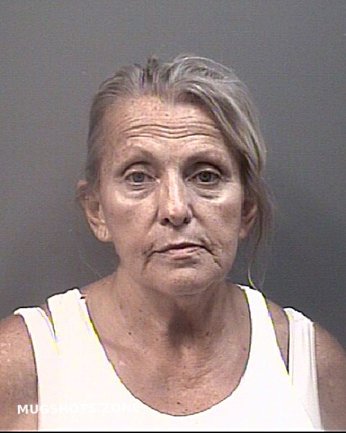 Chamberlain Jenny Lynn 07 15 2022 Rowan County Mugshots Zone