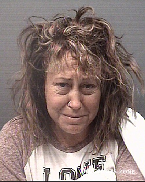 Mclaurin Tanya Bartena 09 13 2022 Rowan County Mugshots Zone