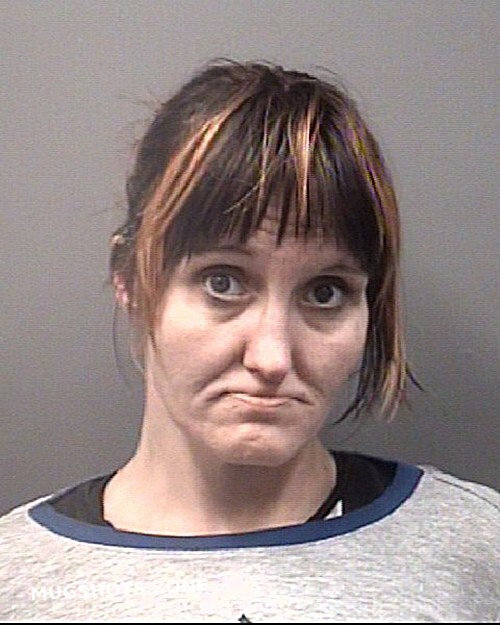 COLLINS ALLISON MARIE 10/23/2022 - Rowan County Mugshots Zone