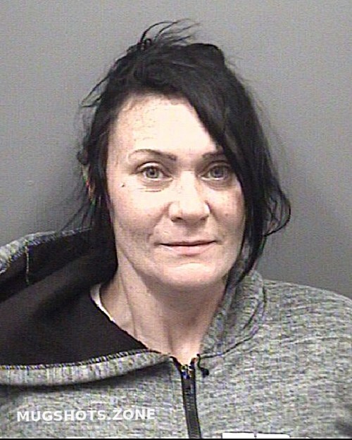SHEETS LISA MARIE 10/27/2022 - Rowan County Mugshots Zone