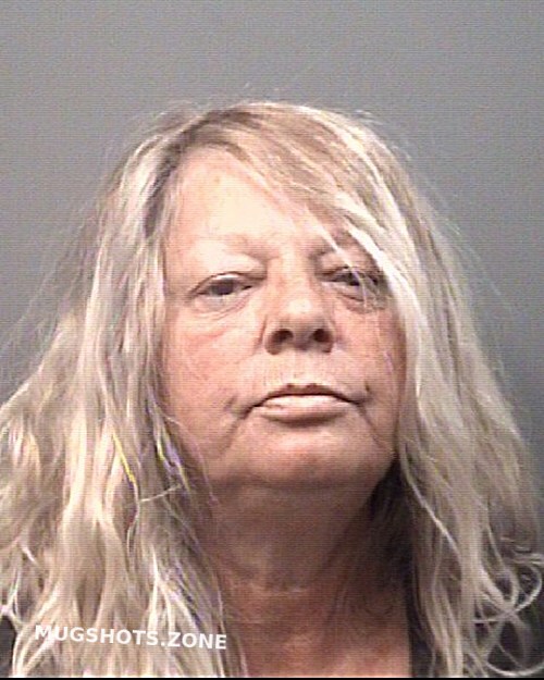 Cannon Pamela Renee 11 07 2022 Rowan County Mugshots Zone