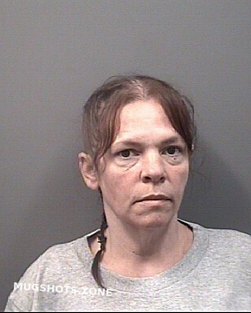HONEYCUTT LISA KAY 11/22/2022 - Rowan County Mugshots Zone