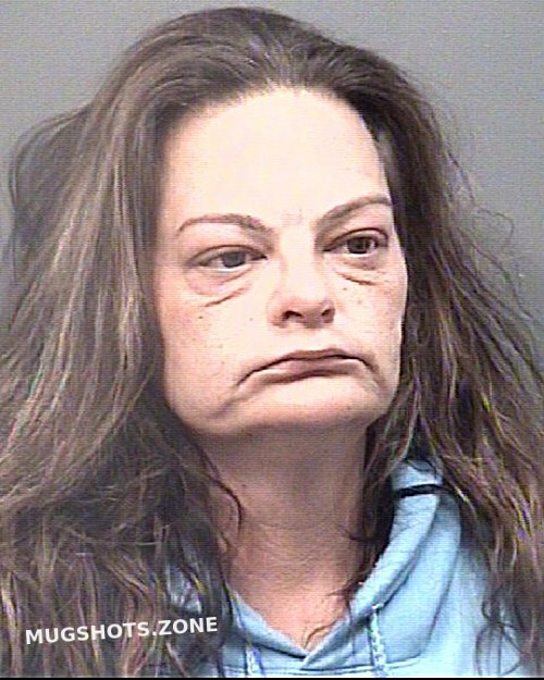 Williams Kathy Lynn 11 26 2022 Rowan County Mugshots Zone