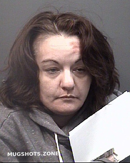 Fink Rhonda Lynn 06 09 2023 Rowan County Mugshots Zone