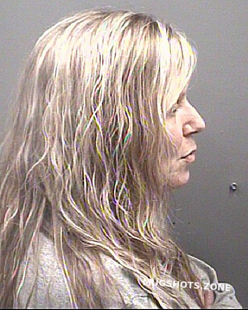 BAZEMORE JESSICA LEIGH 08/28/2023 - Rowan County Mugshots Zone
