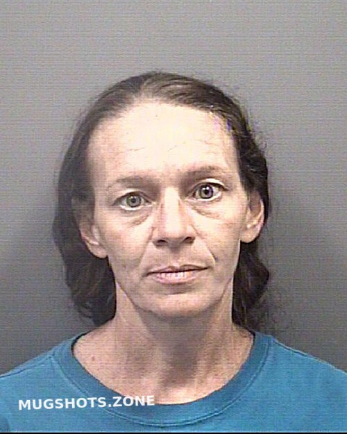 EARNHARDT SHERRI ANN 10/27/2023 - Rowan County Mugshots Zone