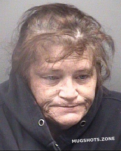 BLEVINS CHERYL ANNE 11/01/2023 - Rowan County Mugshots Zone