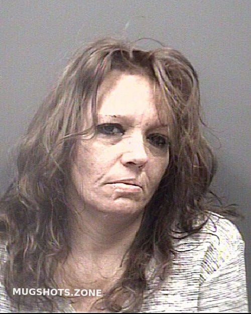 ROBINSON SUSAN REBECCA 01/18/2024 - Rowan County Mugshots Zone