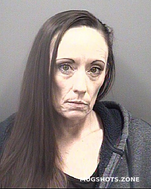 Moose Barbara Lynn 02 13 2024 Rowan County Mugshots Zone