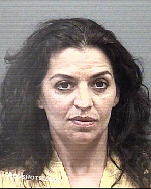 TOLEDO SARAH AMY 02/19/2024 - Rowan County Mugshots Zone