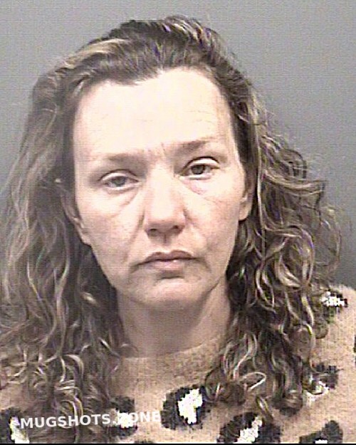 EARNHARDT BRITTANY ALLISON 04/06/2024 - Rowan County Mugshots Zone