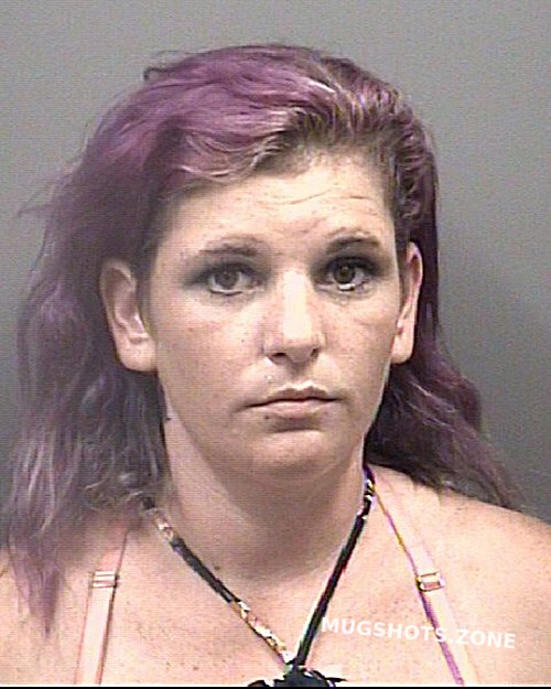 Weaver Briana Nicole 05 06 2024 Rowan County Mugshots Zone