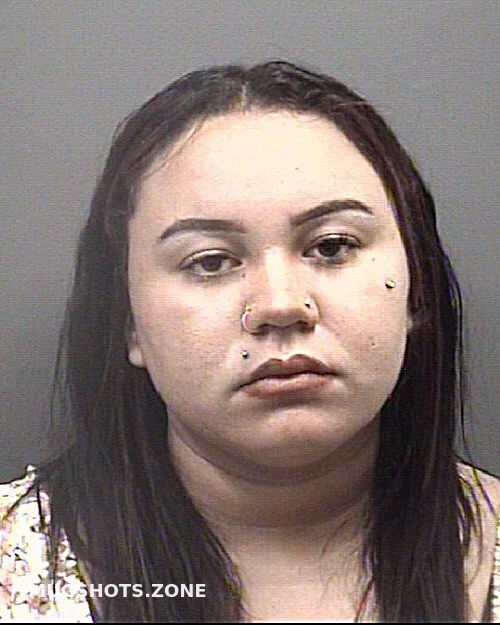 STOKES TORIANA LYN 06/28/2024 - Rowan County Mugshots Zone