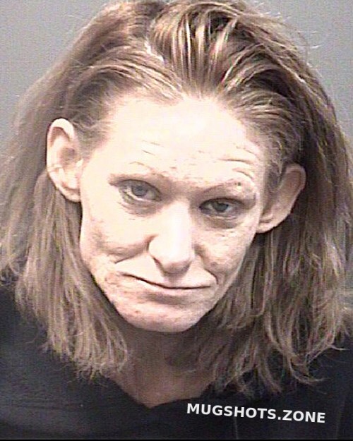 FISHER STEPHANIE LUANN 11/24/2024 - Rowan County Mugshots Zone