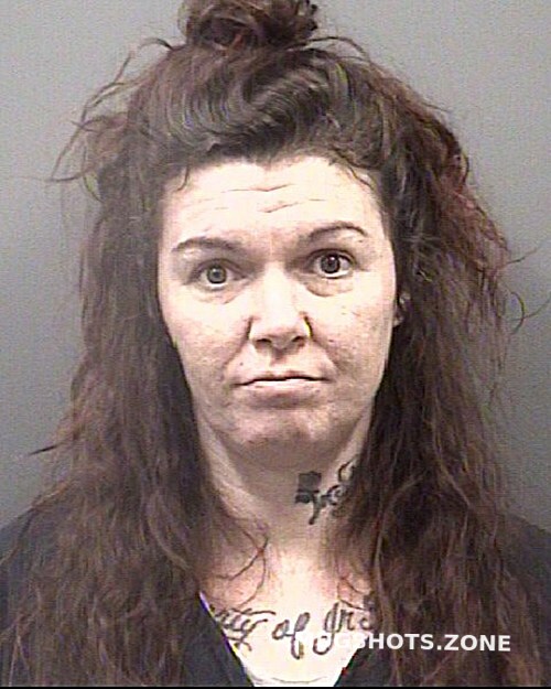 DEVAULT HEATHER 01/24/2025 - Rowan County Mugshots Zone