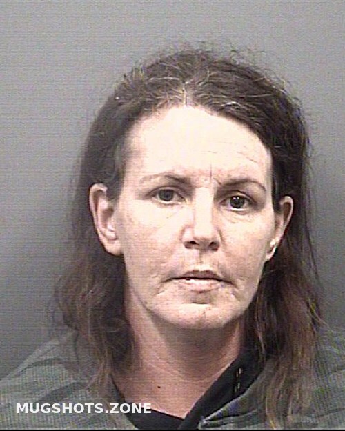 Tucker Lauren Elayne 02 01 2025 Rowan County Mugshots Zone