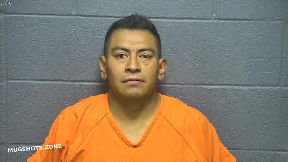 PEDROZA RAMIREZ VIRGINIO C N/A 11/11/2022 - RSW Regional Jail Mugshots Zone