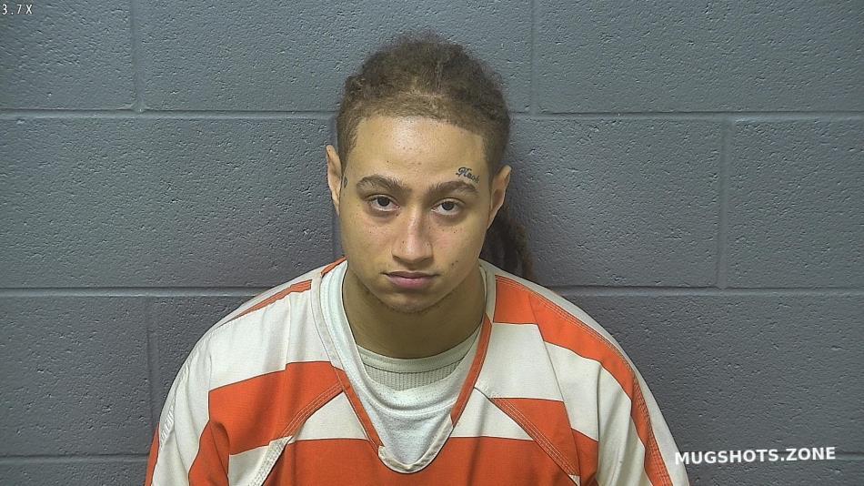 TIBBS DONTE ERIC N/A 03/13/2023 - RSW Regional Jail Mugshots Zone